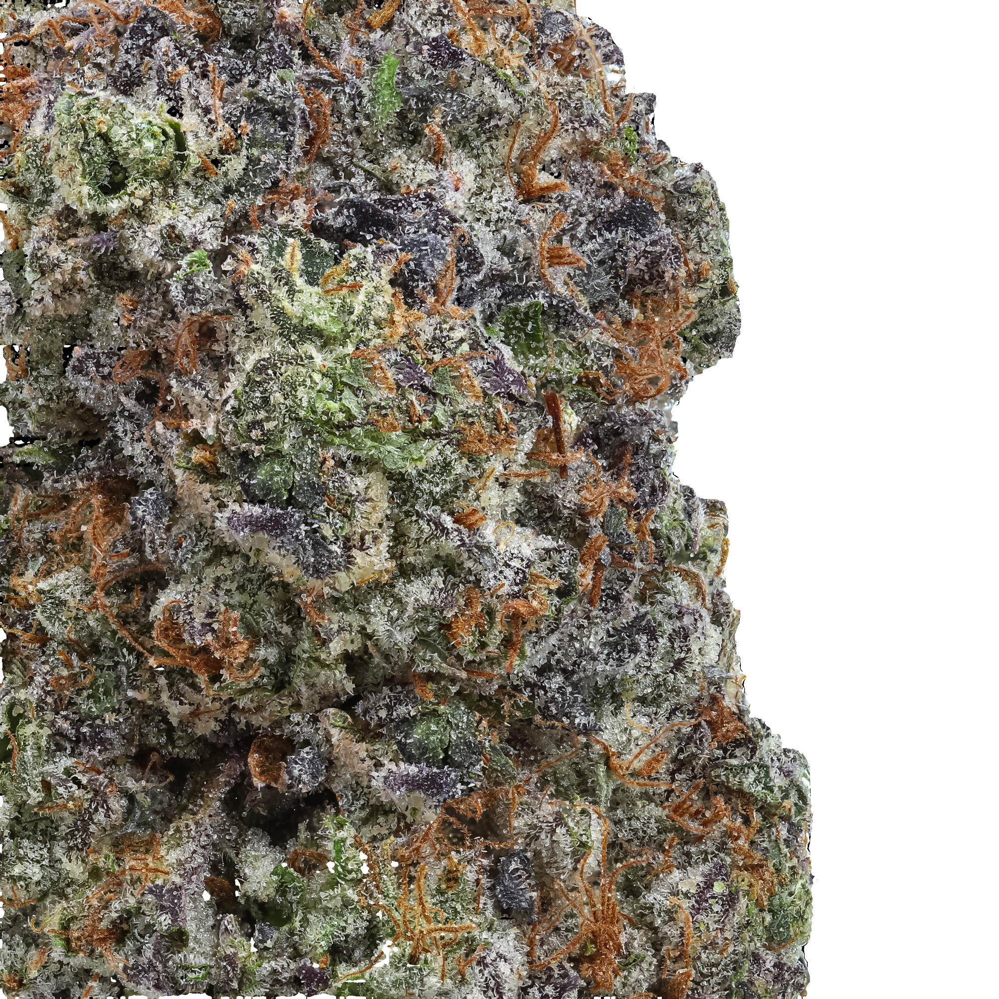 Type 1 Flower- High THCa | Flow Gardens