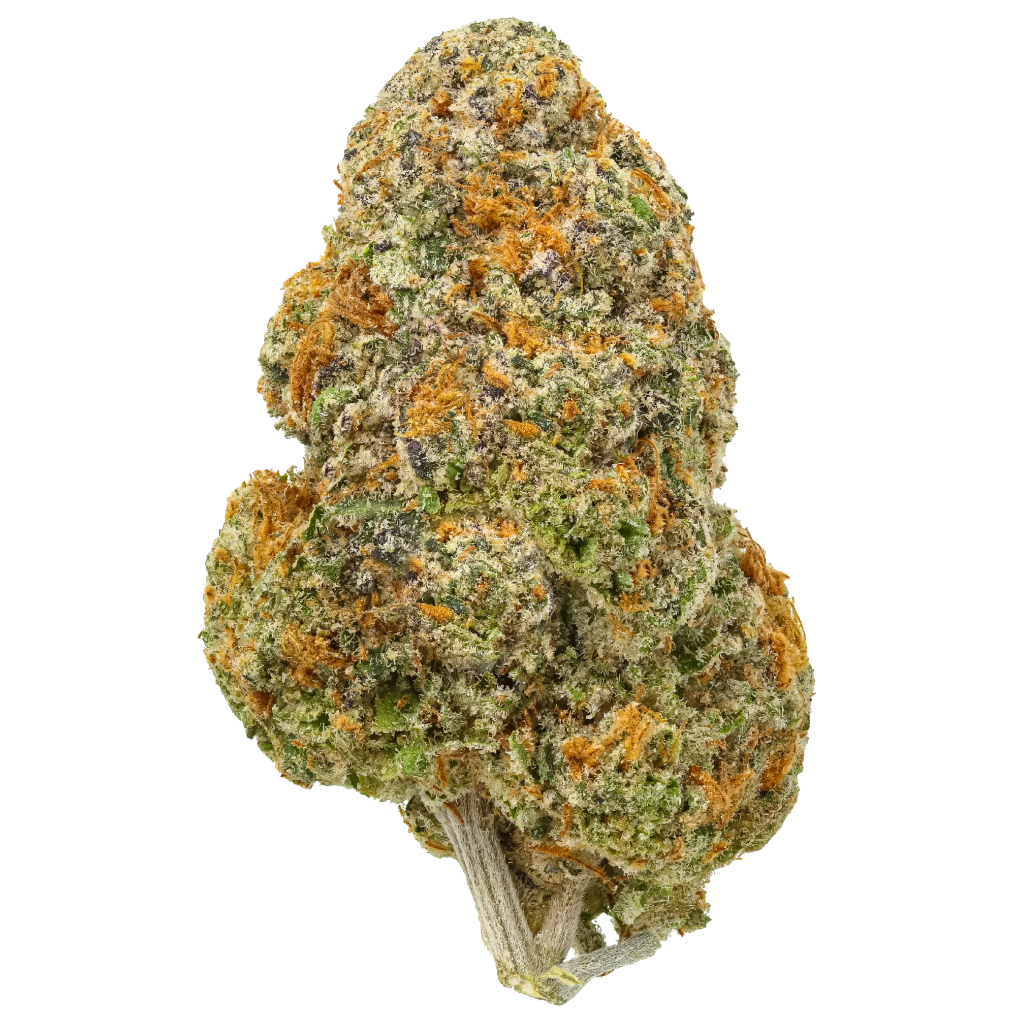 Gas Station Candy | Flow Gardens