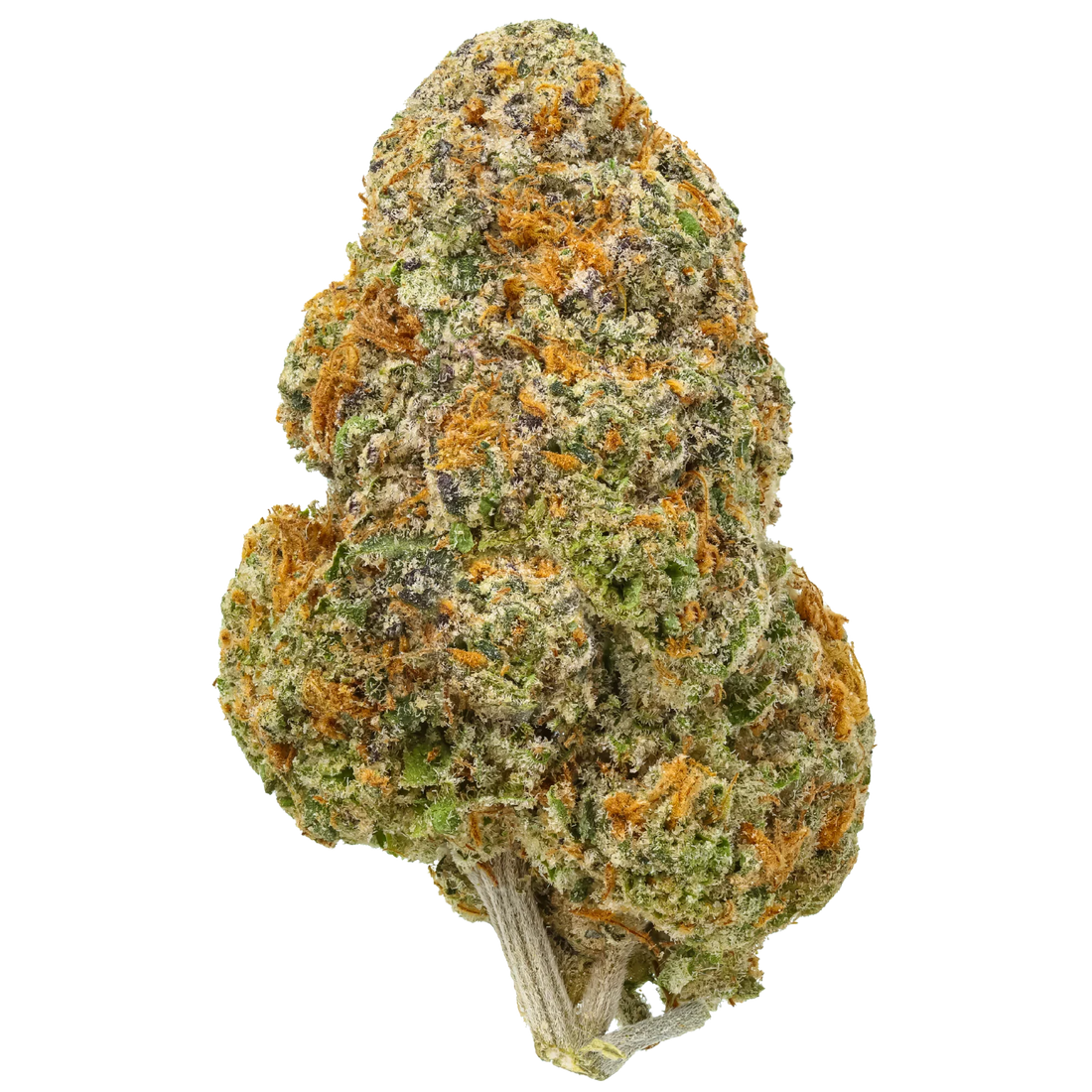 Gas Station Candy | Flow Gardens