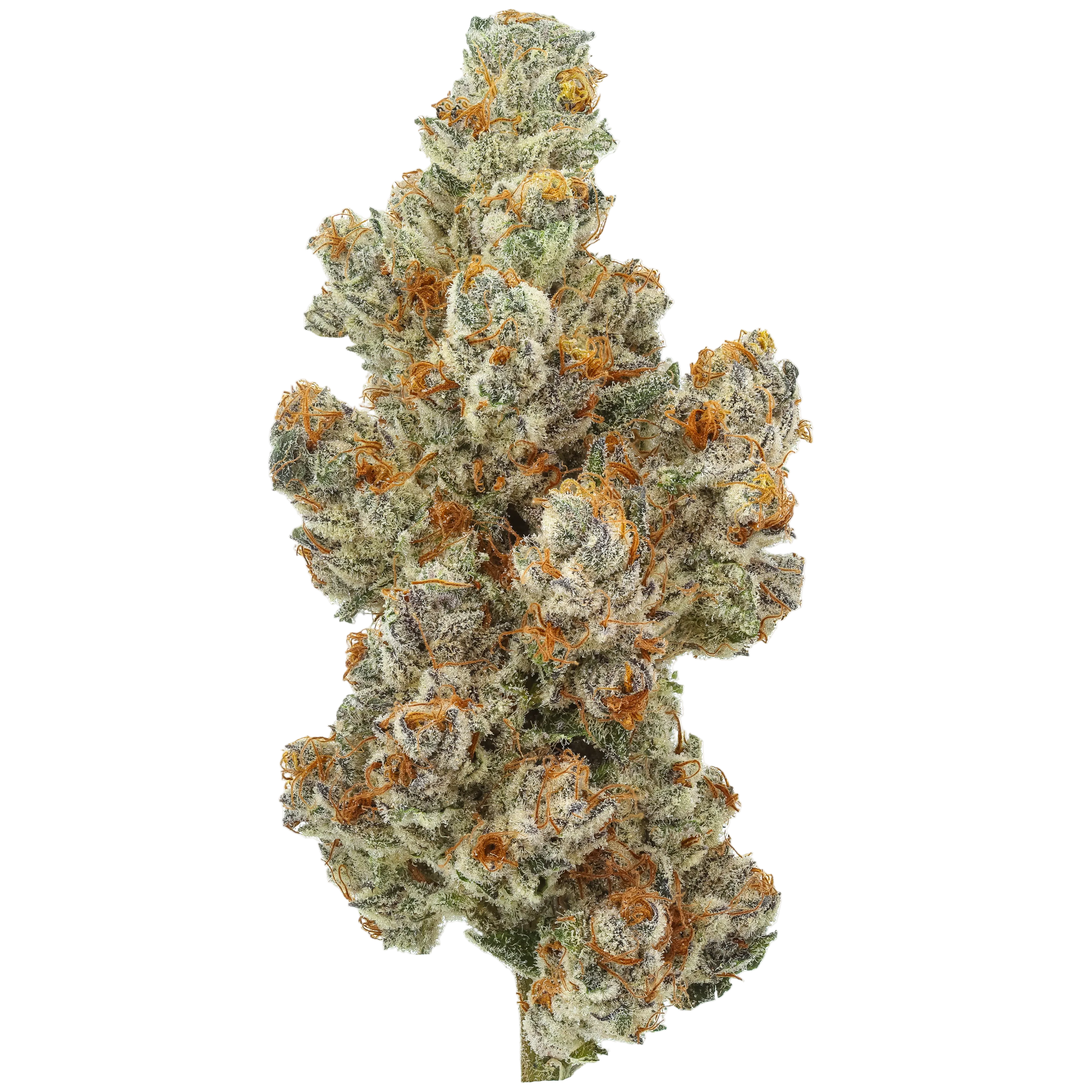 Ice Block | Flow Gardens