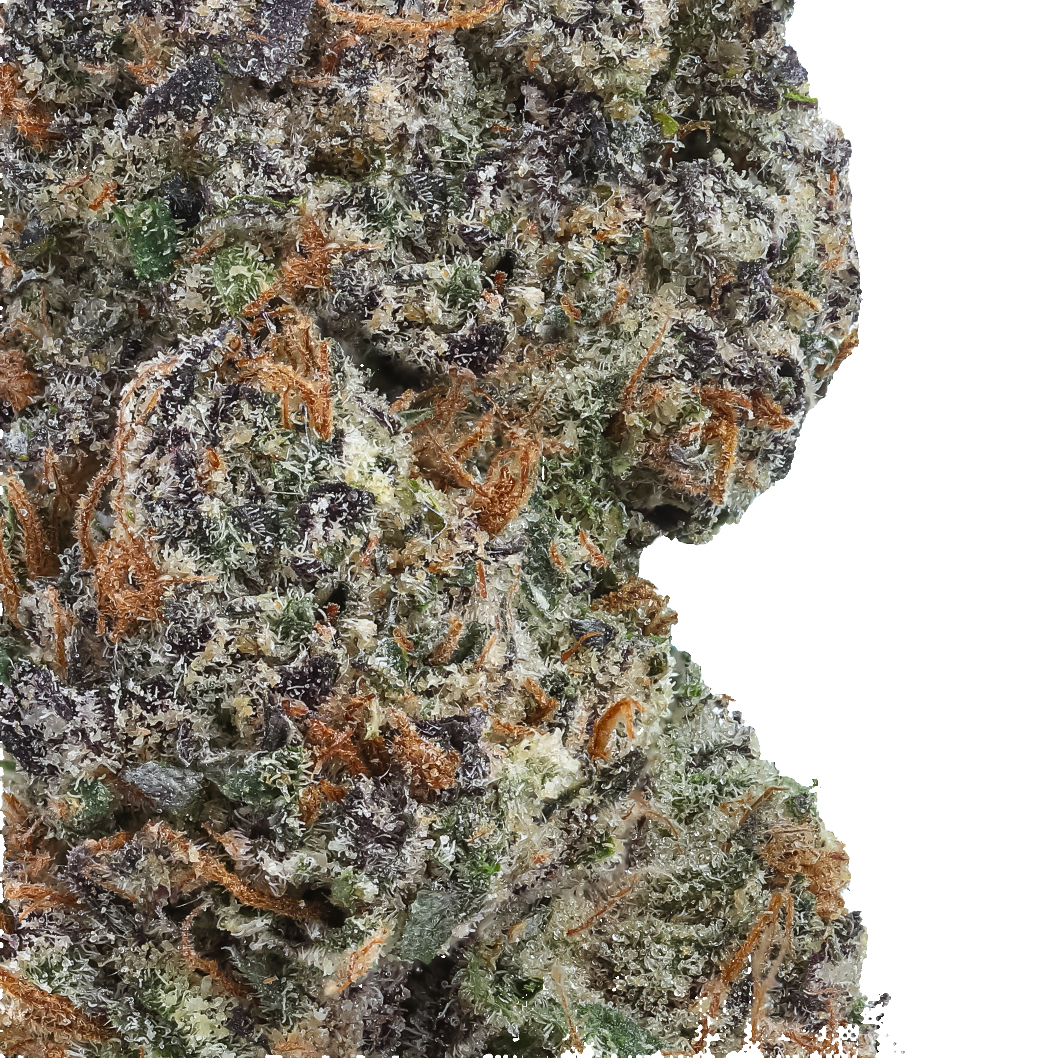 Type 1 Flower- High THCa | Flow Gardens