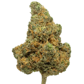 High THCa Flower | Type 1 Flower | Flow Gardens