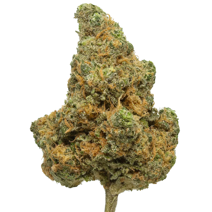 High THCa Flower | Type 1 Flower | Flow Gardens