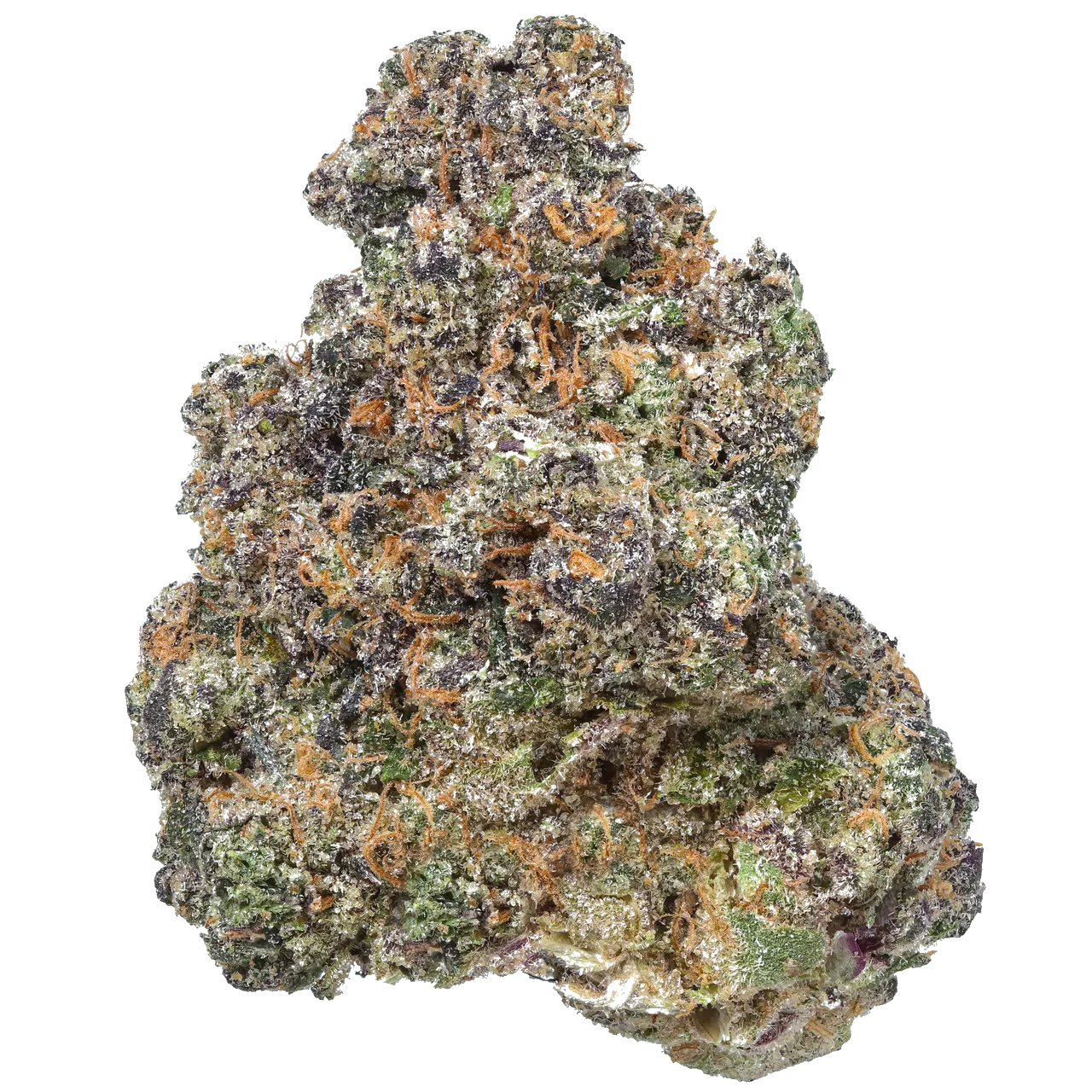 Spritzer – Flow Gardens