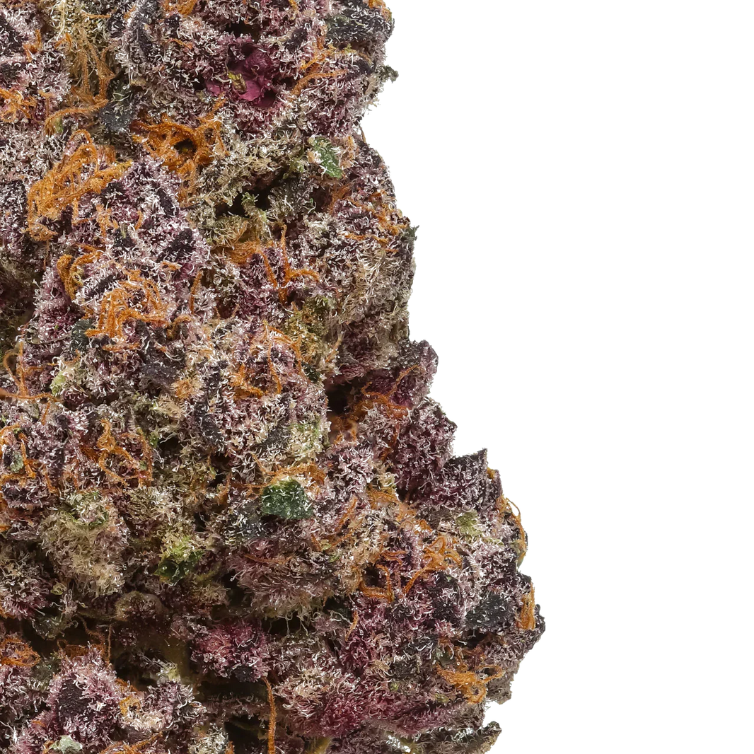 High THCa Flower | Type 1 Flower | Flow Gardens